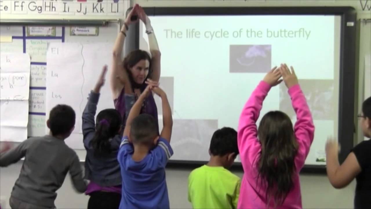Biliteracy Unit in 2nd Grade: The Bridge