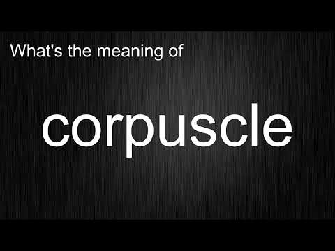 What's the meaning of "corpuscle", How to pronounce corpuscle?