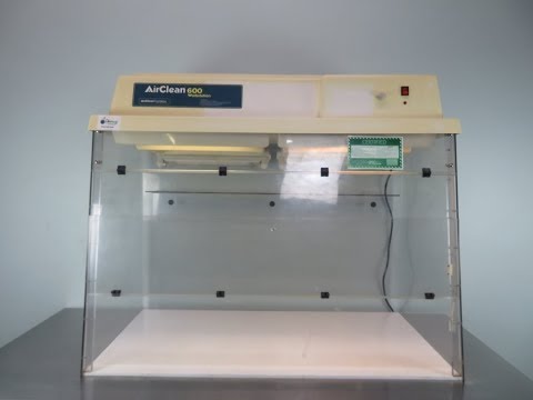 PCR Workstation - PCR Hood Latest Price, Manufacturers & Suppliers