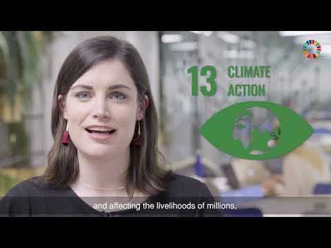 SDG 13: Climate Action