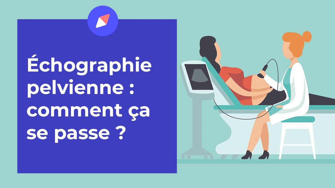 Échographie pelvienne : comment ça se passe ? - Question Gynéco