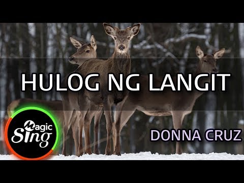 [MAGICSING Karaoke] DONNA CRUZ_HULOG NG LANGIT karaoke | Tagalog