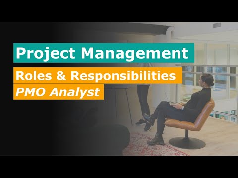 Roles and Responsibilities Of A PMO Analyst | What Does a PMO Analyst Do | Project Management