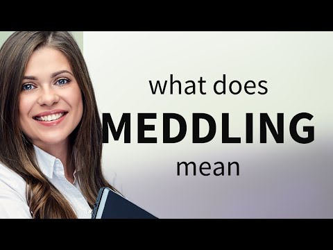 Meddling • what is MEDDLING definition