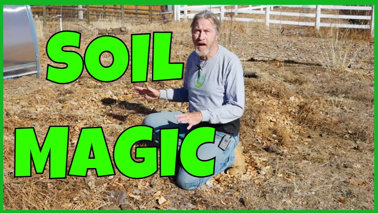 How to Transform Bad Soil Into Good Soil