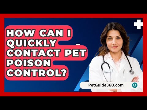 How Can I Quickly Contact Pet Poison Control? - PetGuide360.com