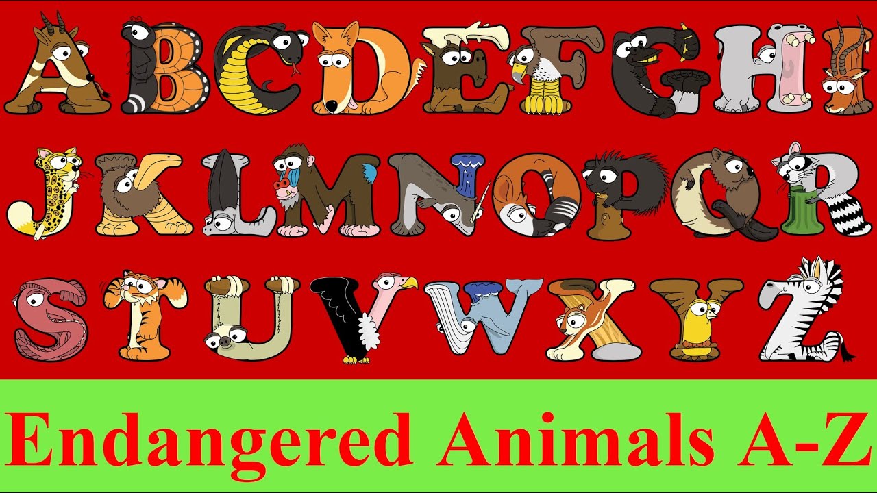 Endangered Animals for Kids | A-Z Animal Flashcards | Animal Alphabet | Learn ABC with Alphabetimals
