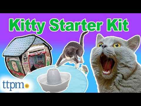 Everything You Need for Your Cat | Kitty Starter Kit for New Owners