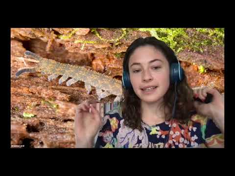 After-School Animal Encounter: Humans and Animals