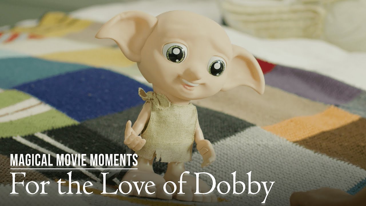 FOR THE LOVE OF DOBBY (IRL) | Harry Potter Magical Movie Moments