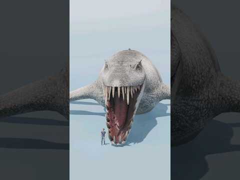 Tylosaurus Sea Monster Vs Bloop Sea Monster