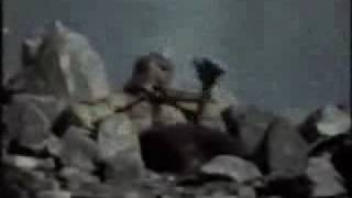 Meet the Feebles / We R Animals - Fimfiction