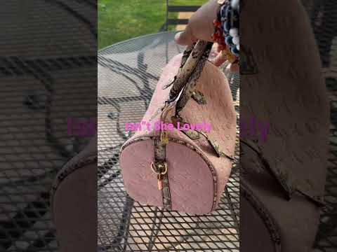 Louie Vuitton Snake Skin Purse
