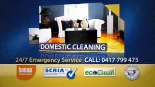 3 Best Carpet Cleaning Service in Toowoomba, QLD - Expert Recommendations