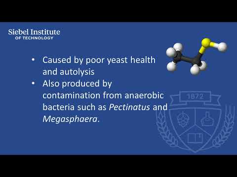 Mercaptan - Beer sensory characteristics, causes and control factors