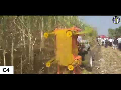 Sugarcane Cutting Machine - Sugarcane Cutter Latest Price ...