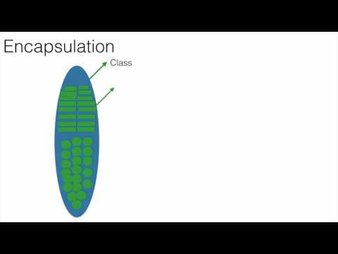 Java Object Oriented Concepts - Encapsulation