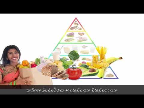 EBT Cardholder Training videos - Lao