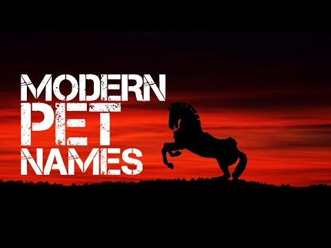 male horse names starting with i