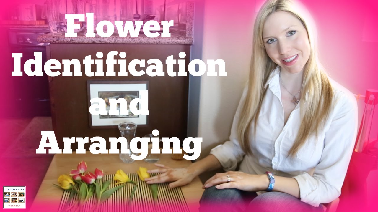 Montessori Flower Identification and Arranging for Toddlers and Preschoolers - Living Montessori Now