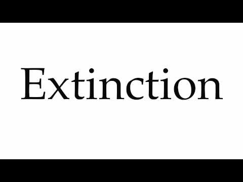 How to Pronounce Extinction