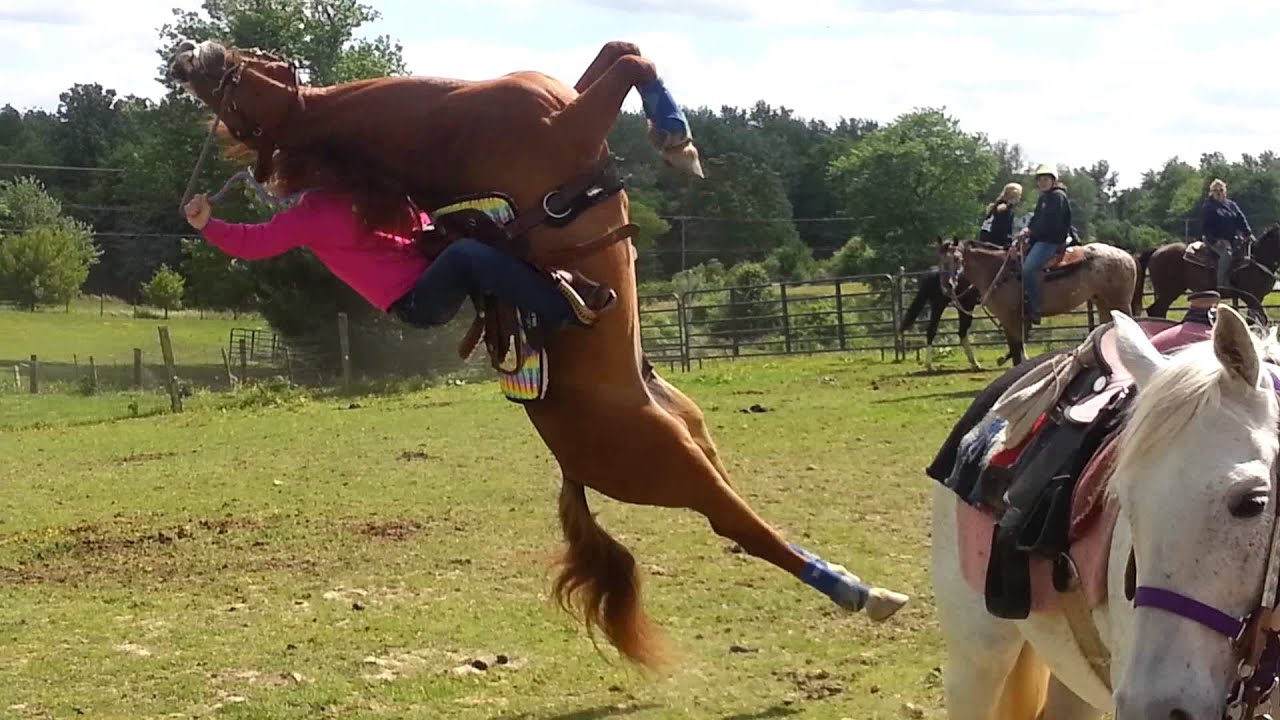 Horse flips on rider