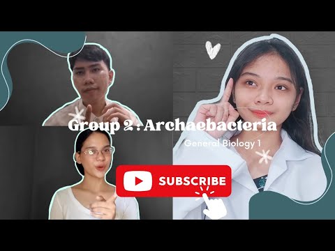 Pyrolobus Fumarii Common Name