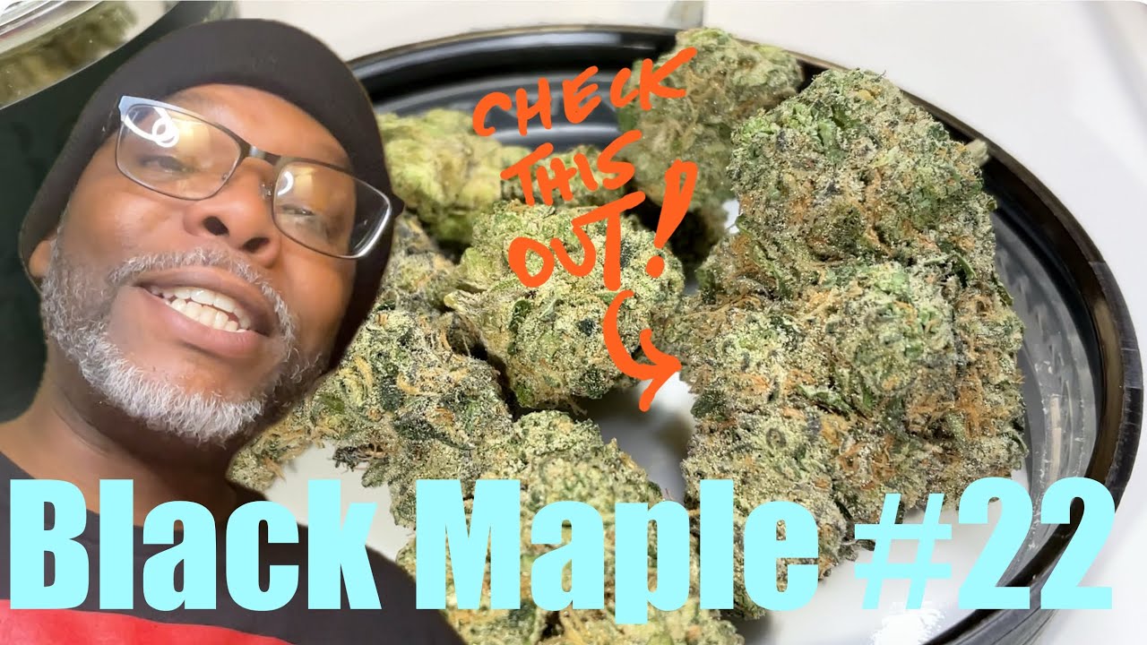 Goodbud Cannabis Reviews Episode 26 : Black Maple # 22 From Good Green