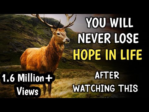 YOU WILL NEVER LOSE HOPE IN YOUR LIFE | MOTIVATIONAL STORY OF A DEER | #hope