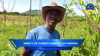 GhanaWeb TV - Programme Lists