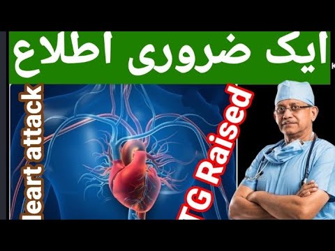 Triglycerides Raised
