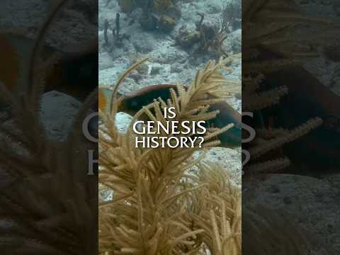 How Do We Know the World Didn't Evolve Over Billions of Years?