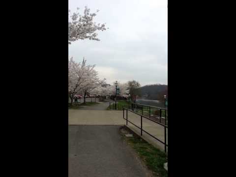 Rails Trails Morgantown