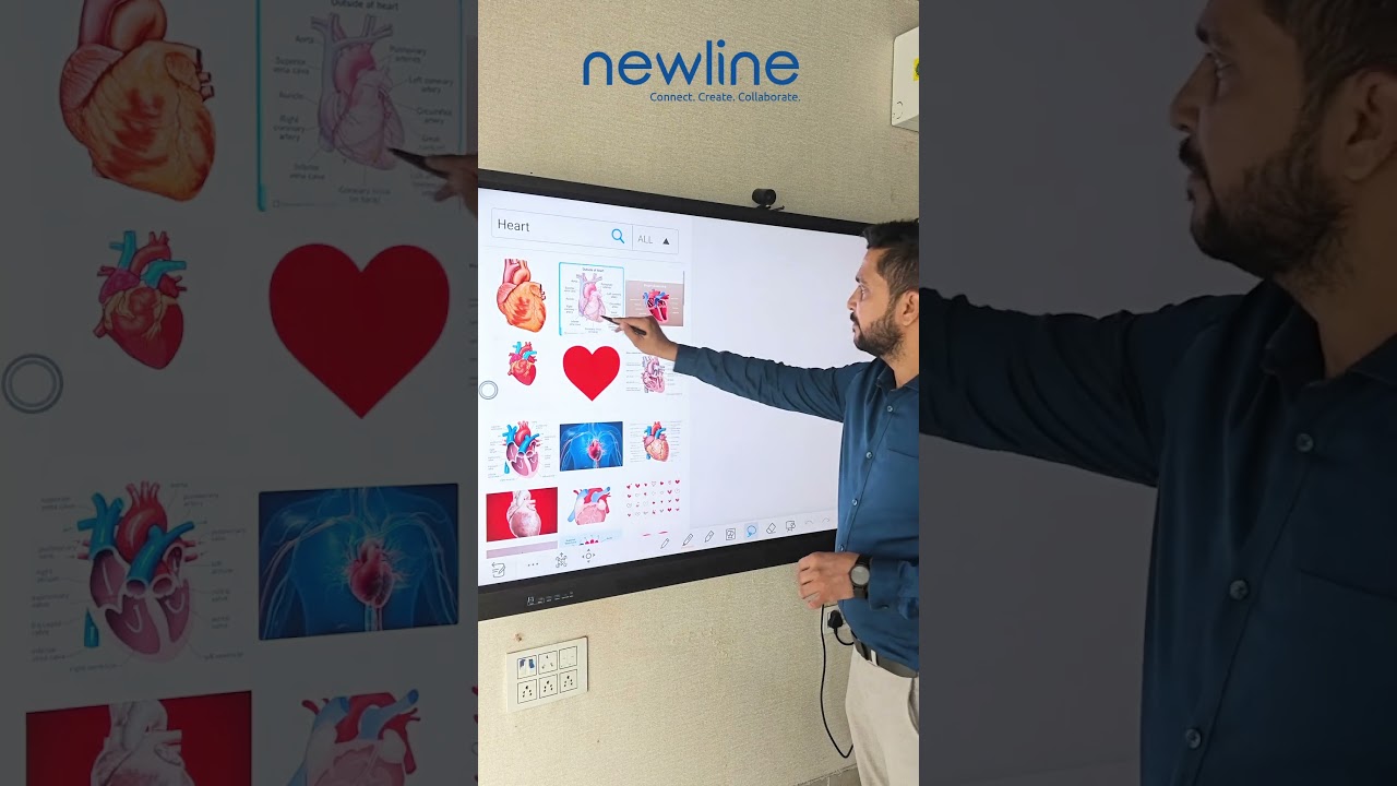 Newline interactive panel | smart board features