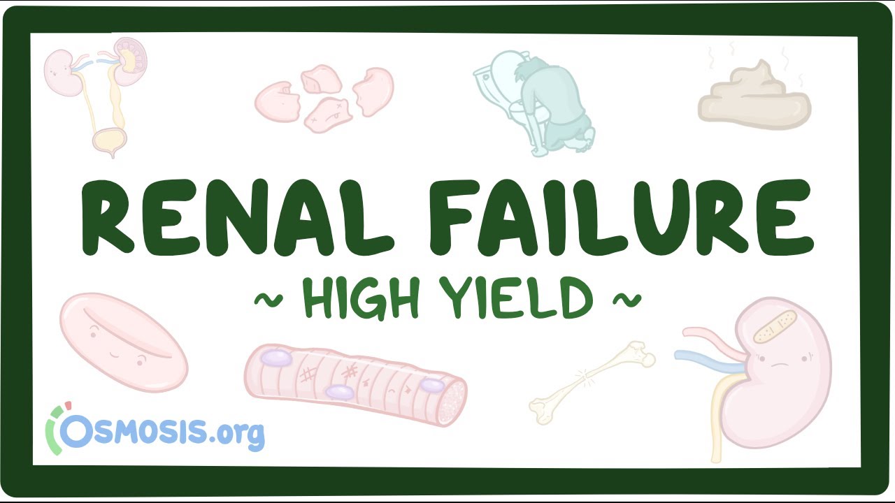 Renal failure: Pathology review