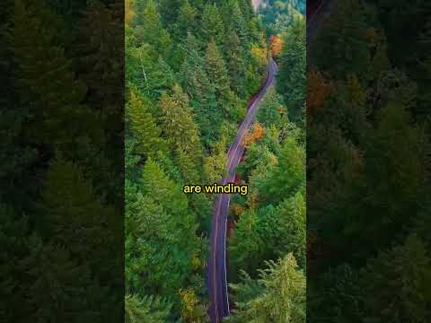 Winding roads #shorts #road #winding