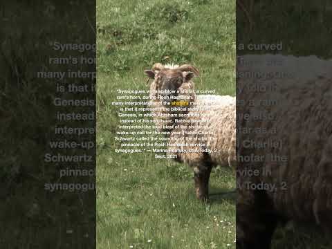 Today's Word - Shofar #shorts #trending #viral
