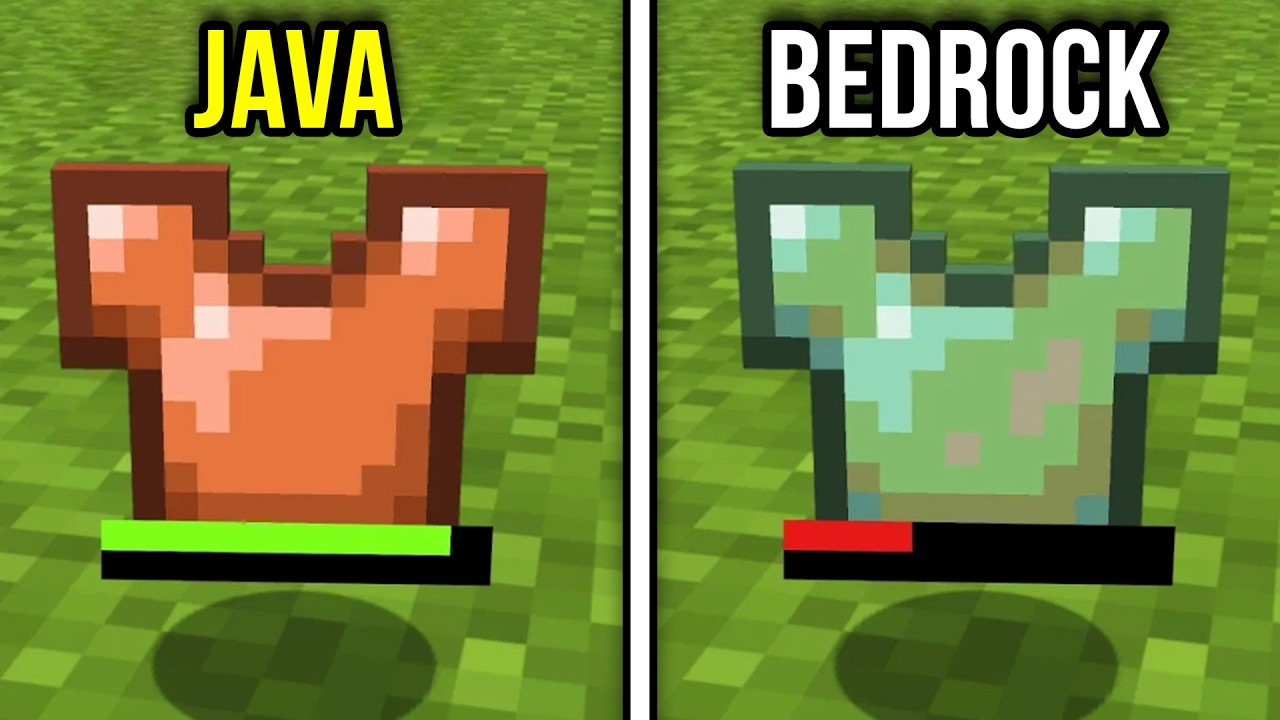 67 Minecraft Java vs Bedrock Things