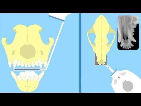 iM3 X-Ray Positioning Kit (How to use)