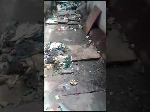 Ward 44 Nagar Nigam Old Subhash Nagar Bhopal Madhya Pradesh pin code 462023