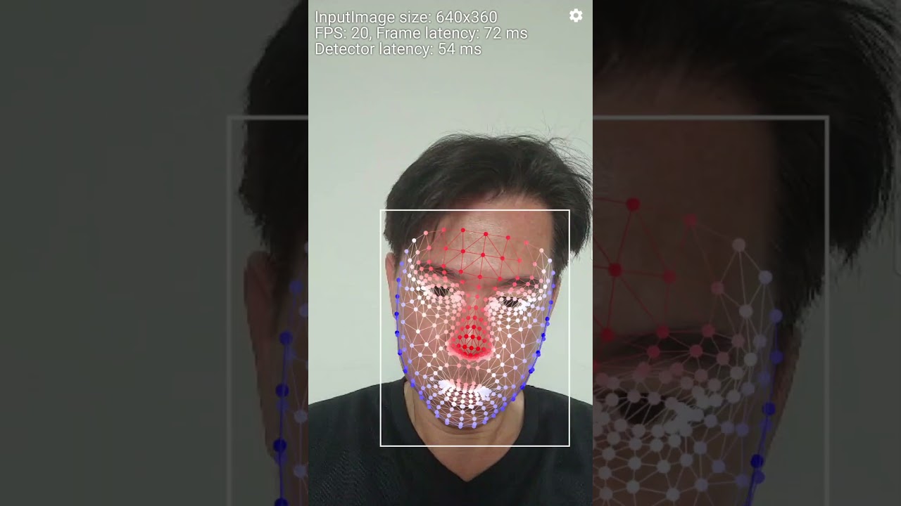 Face Mesh Detection Demo