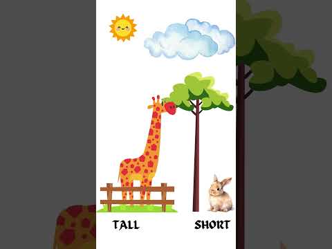 Opposite Words – Tall & Short | Antonyms in English | Common opposites | #oppositewordsforkids