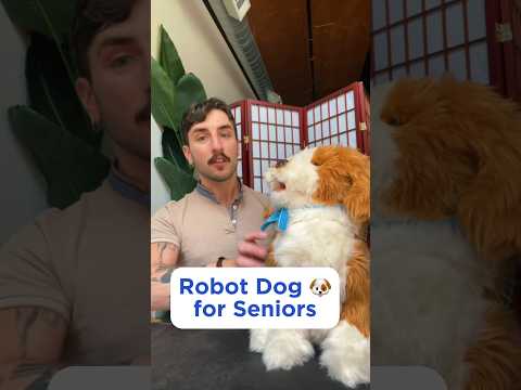 We Review a Robot Dog for Seniors