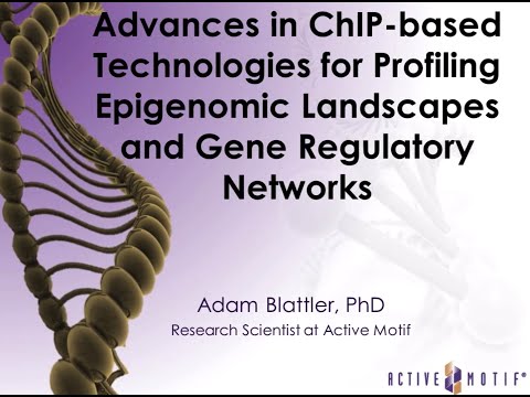 [WEBINAR] Advances in ChIP-Based Technologies for Profiling Epigenomic Landscapes