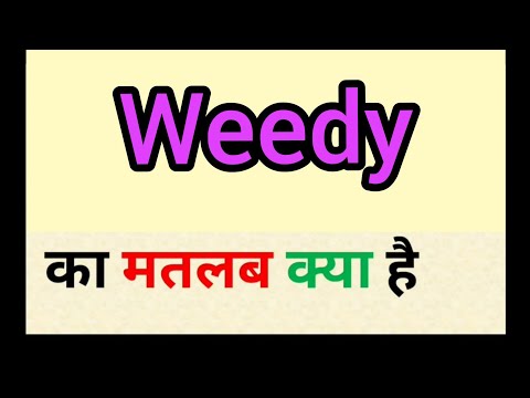 Weedy meaning in hindi || weedy ka matlab kya hota hai || word meaning english to hindi
