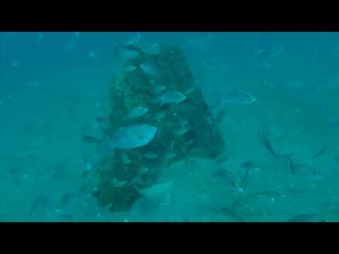 Old artificial - pyramid south of Pensacola