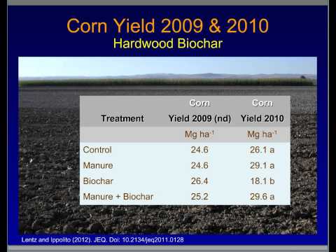 Biochar Basics