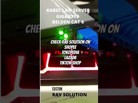 KABEL LAN SERVER GUGABYE BELDEN CAT 6 CUSTOM RAV SOLUTION