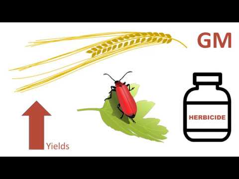 Genetic Engineering