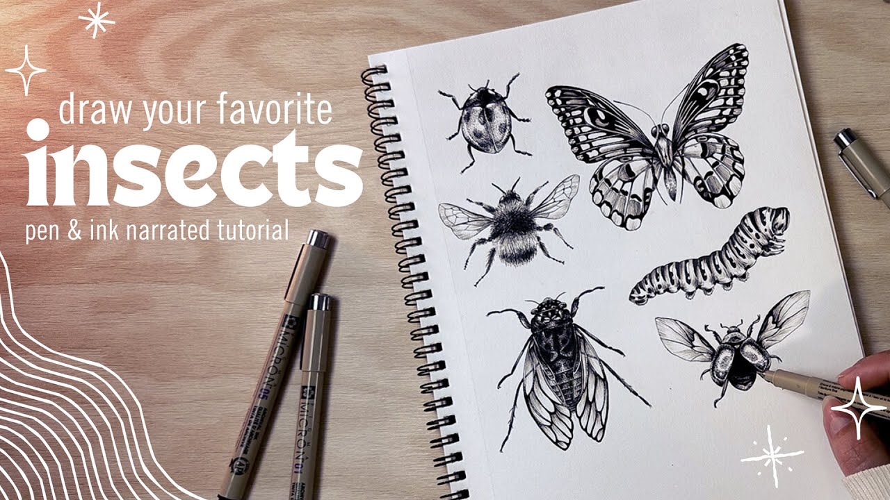 How To Draw Cute Realistic Insects With Ink // Step by Step Tutorial